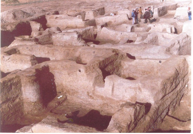 Tell al-Wilayah: the 2002 Iraqi State Board of Antiquities Excavation ...
