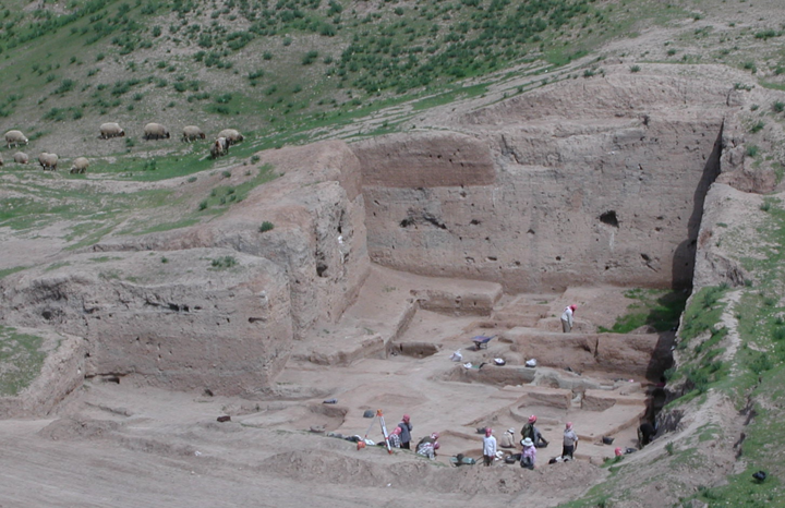 Early Mesopotamian Urbanism at Tell Brak, Syria | The Shelby White and ...
